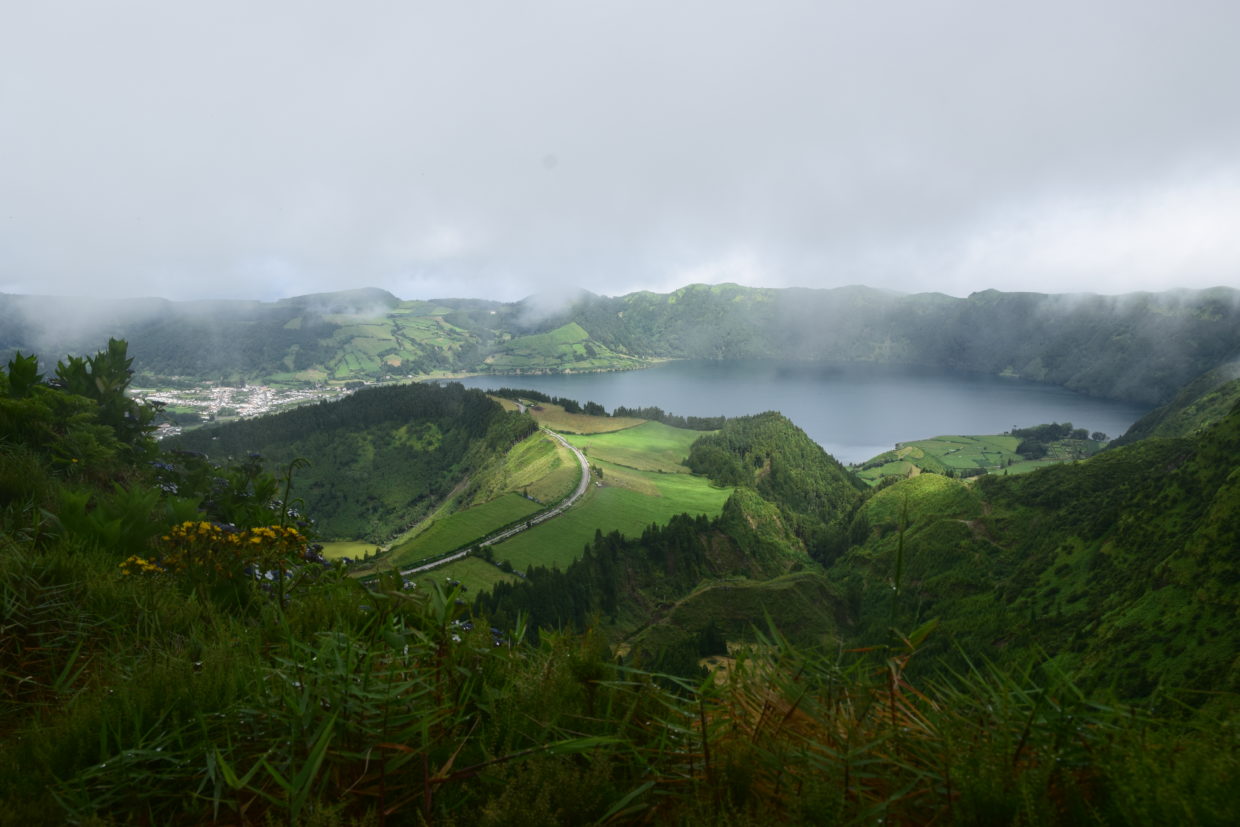 Nature - Azores - São Miguel