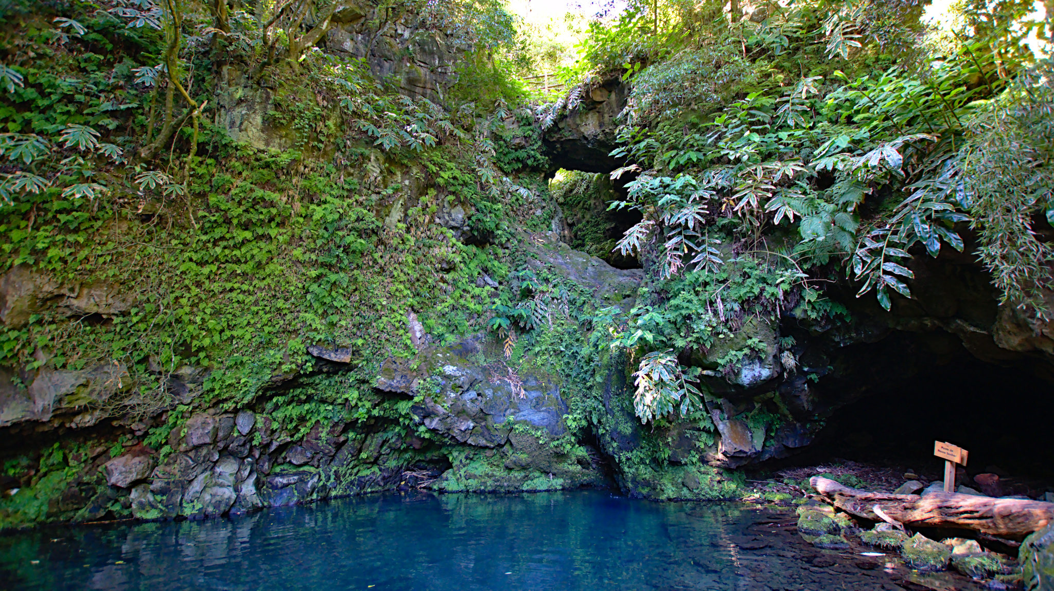 Uma pequena viagem da Achadinha ao Poço Azul
