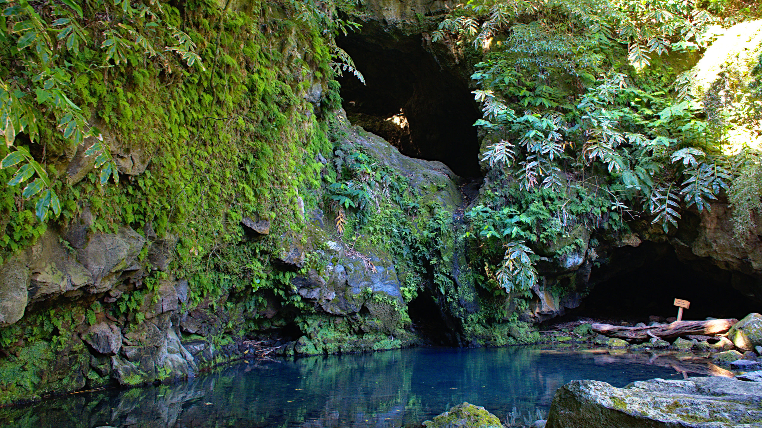 Uma pequena viagem da Achadinha ao Poço Azul